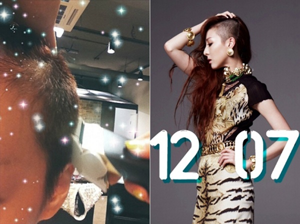 2NE1 Dara’s Ever-Changing Hairstyles – What’s the Most Creative? | Soompi