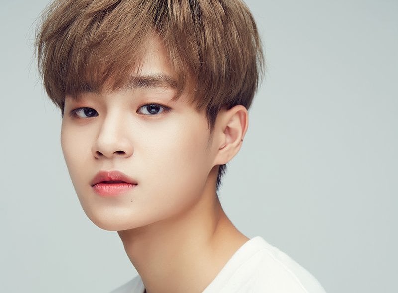 Wanna One’s Lee Dae Hwi Accepted To School Of Performing Arts Seoul ...