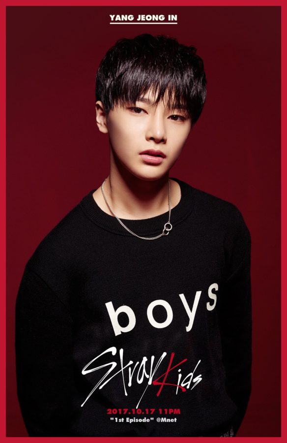 Update: JYP Survival Program “Stray Kids” Unveils Next Three Trainees ...