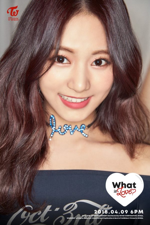 Update: TWICE Reveals Adorable Photo Card Images For “What Is Love ...