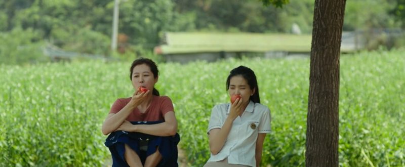 When You Need A Breath Of Country Air: Reasons To Watch “Little Forest ...