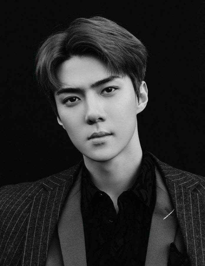 Update: EXO’s Sehun Rocks The Bad Boy Look And More In Teasers For “Don ...