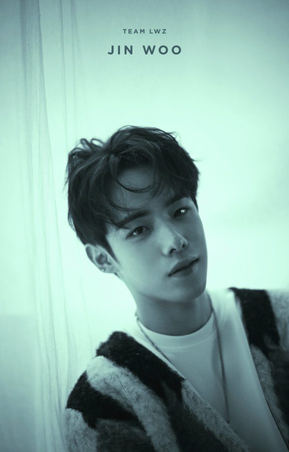 Lee Rubin And Jin Sungho From “MIXNINE” To Debut In New Boy Group | Soompi