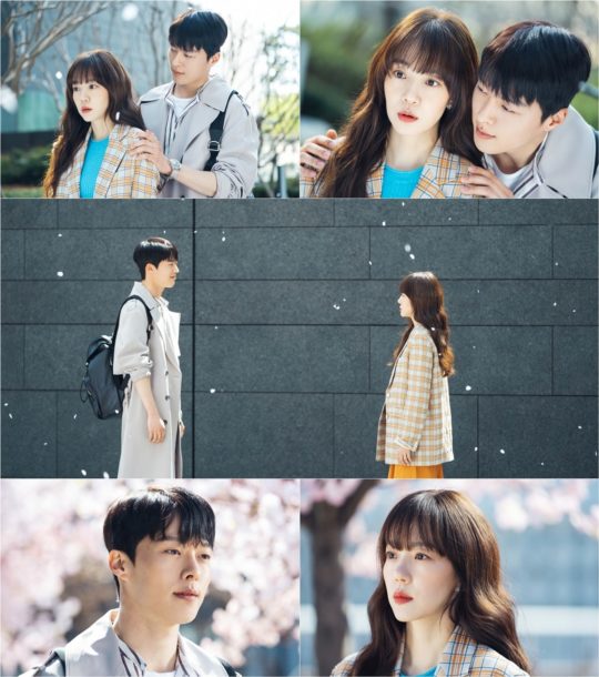 Jang Ki Yong And Im Soo Jung Share Romantic Encounter Amidst Cherry Blossoms In Search