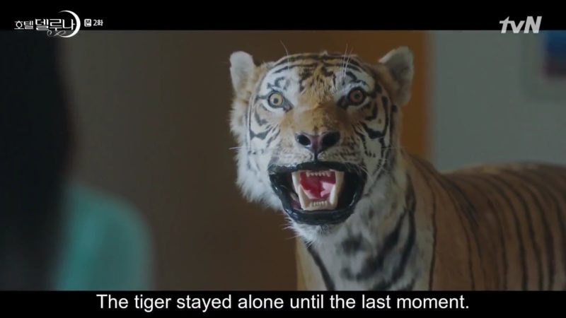 10 Memorably Fantastical CGI Moments From “Hotel Del Luna” – KDrama Fandom