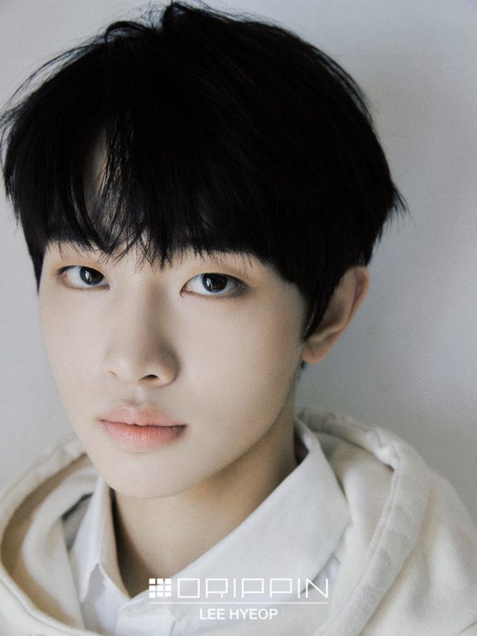 Update: Woollim’s Upcoming Boy Group DRIPPIN Unveils Member Profile ...