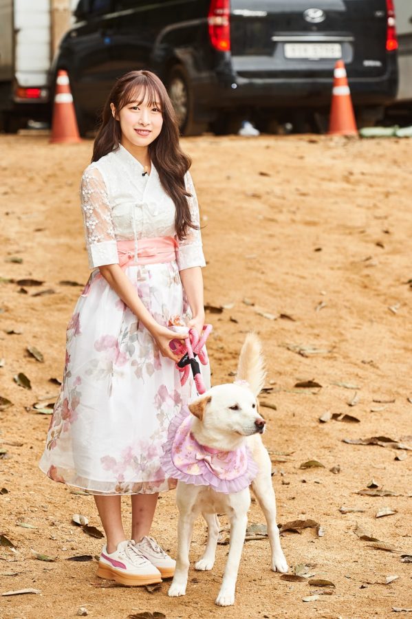 Idols And Their Dogs Team Up In Photos From MBC’s “Idol Star Athletics ...