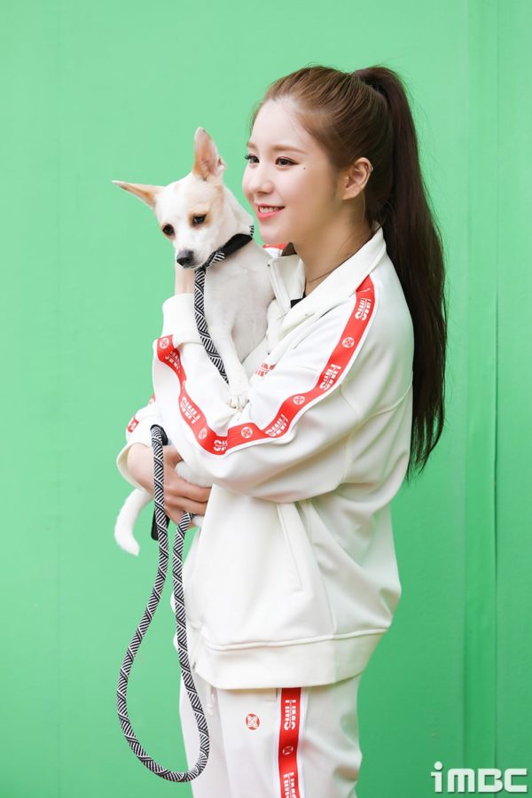 Watch: Idols And Their Dogs Take On An Obstacle Course In “2020 Idol ...