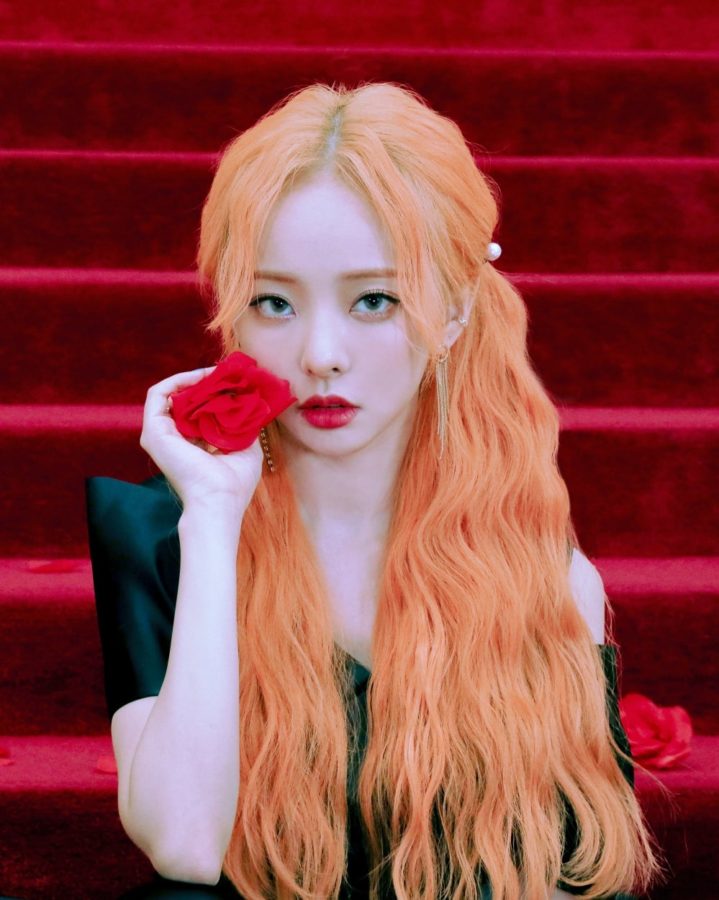 Exclusive: LOONA Answers Fan Questions About Goals For Comeback ...