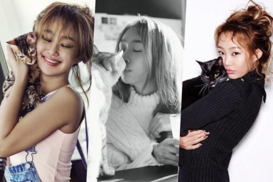 9 K-Pop Idols Who Are Total Cat Lovers | Soompi