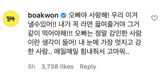 BoA Shares Her Support After Her Brother Kwon Soon Wook Opens Up About ...