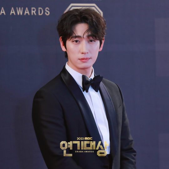Stars Rock The Red Carpet At The 2022 MBC Drama Awards | Soompi