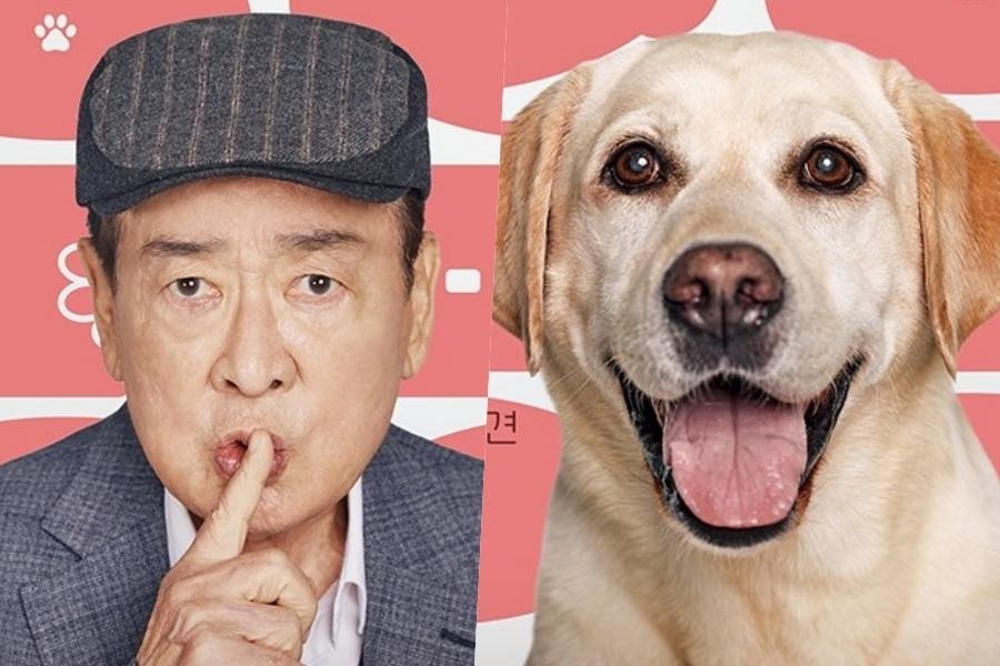 “Dog Knows Everything” termina con un aumento en los ratings – Soompi ...